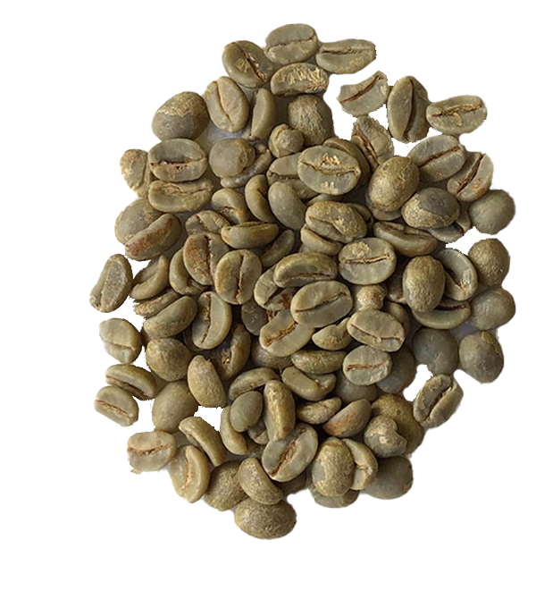 Página inicial - Little Bean